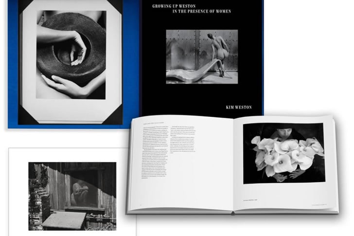 Visual Narratives Unveiled: A Review of “Visual Storytelling Explored ...